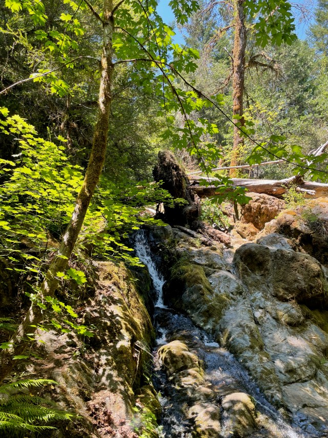 Stream on the Trail | 3jmann