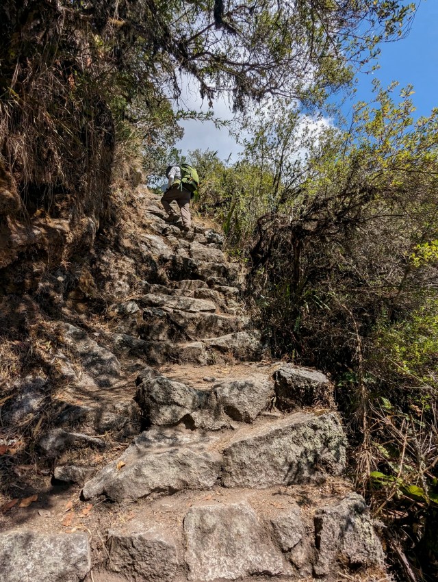 Steep Steps | 3jmann